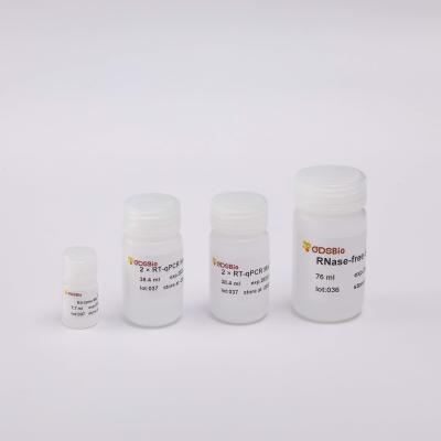 中国 高い特定性1のステップ調査RT QPCR Mastermix V2 V5010 5000 Rxn 30uL/Rxn 販売のため