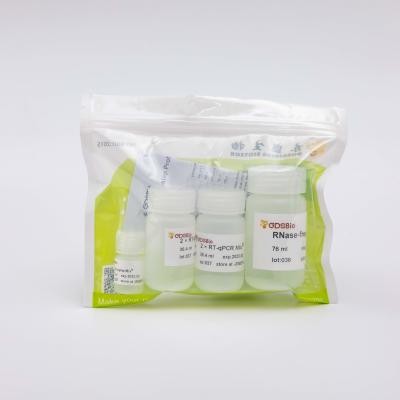 中国 高い特定性1のステップ調査RT QPCR Mastermix V2 V5010 5000 Rxn 30uL/Rxn 販売のため