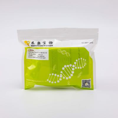 中国 高い特定性1のステップ調査RT QPCR Mastermix V2 V5010 5000 Rxn 30uL/Rxn 販売のため