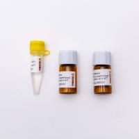 China Lyophilized One Step RT PCR Master Mix DSPath 4X for sale