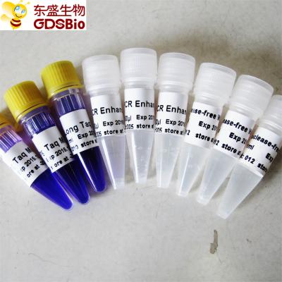 Cina Miscela matrice di Taq 3ml di PCR dell'amplificatore blu matrice lungo della miscela per la PCR in vendita
