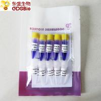 China Taq Mix PCR Master Kit #P2012 5ml for sale