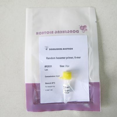 China Aparência incolor aleatória da primeira demão 6-Mer de R2031 20uL Hexamer à venda