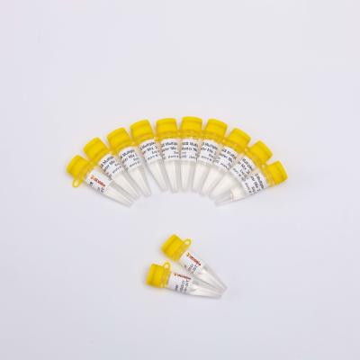 Cina 40/400/2000 multi Plex di PCR NM1001 NM1002 NM1003 di reazioni 2X NGS in vendita
