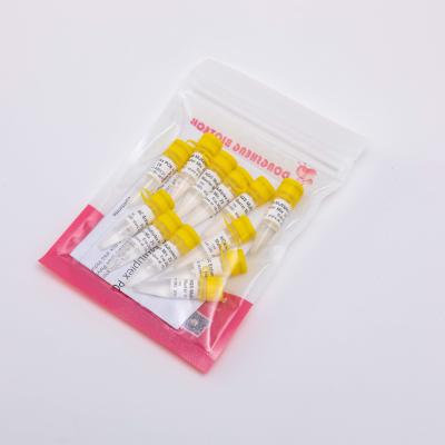 Cina 40/400/2000 multi Plex di PCR NM1001 NM1002 NM1003 di reazioni 2X NGS in vendita