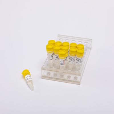 Cina 40/400/2000 multi Plex di PCR NM1001 NM1002 NM1003 di reazioni 2X NGS in vendita