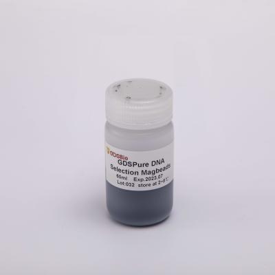 Cina La selezione Magbeads del DNA di GDSPure per esattamente si purifica e sequenze di DNA scelte NC1011/NC1012/NC1013 in vendita