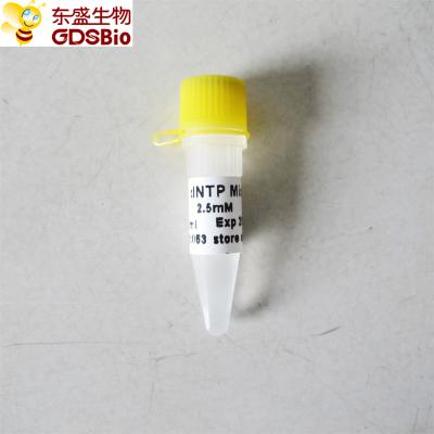 Cina il dNTP si mescola per il qPCR P9011 1ml di PCR in vendita
