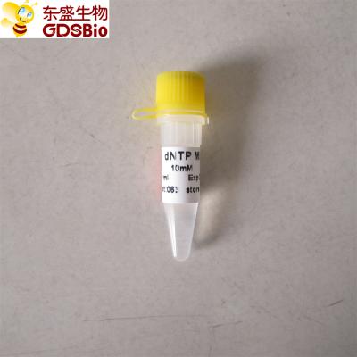 Cina il dNTP si mescola per il qPCR P9013 1ml di PCR in vendita