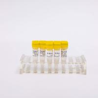 China NGS Multiplex 2X PCR Master Mix 400 Reactions Colourless for sale