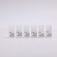 China 2X 1ml NGS Library Construction Multiplex PCR Master Mix for sale