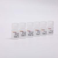 China 2X 1ml NGS Library Construction Multiplex PCR Master Mix for sale