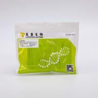 China 2X 1ml NGS Library Construction Multiplex PCR Master Mix for sale