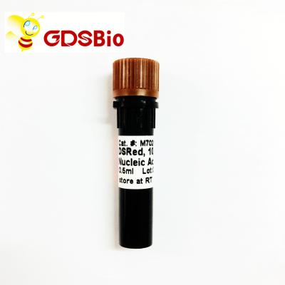 Cina Macchia acida nucleica non tossica 10000x 0.5ml del gel di DSRed in vendita