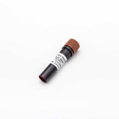 China 20000× DSViewTM Nukleinsäure-Gel-Fleck 1ml GDSBio M7011 zu verkaufen