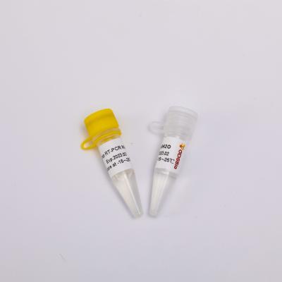 中国 50のRxn 2Xの逆のTranscriptase PCRの試薬1つのステップ マスターの組合せP1001 販売のため