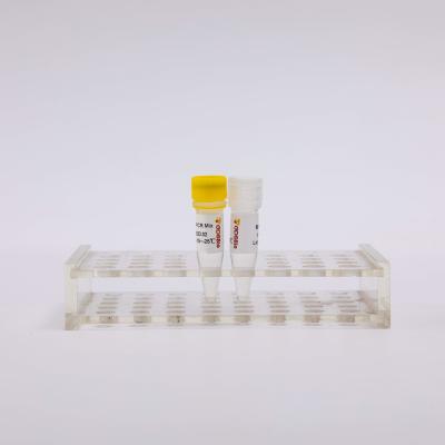 中国 50のRxn 2Xの逆のTranscriptase PCRの試薬1つのステップ マスターの組合せP1001 販売のため