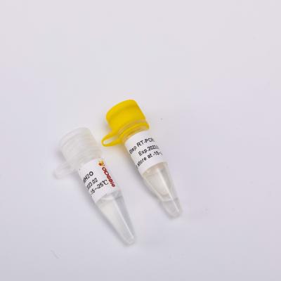 中国 50のRxn 2Xの逆のTranscriptase PCRの試薬1つのステップ マスターの組合せP1001 販売のため