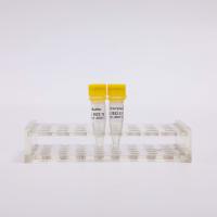 China Gold Reverse Transcriptase PCR Reagents R3001 2000U for sale