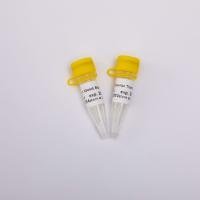 China Gold Reverse Transcriptase PCR Reagents R3001 2000U for sale