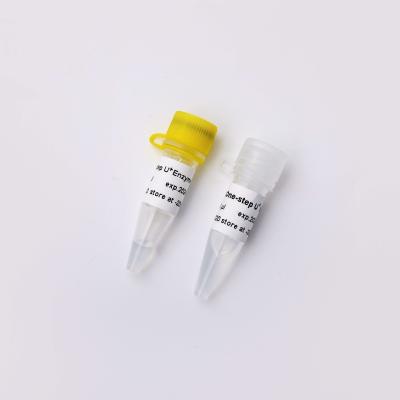 Cina Miscela matrice di RT QPCR di punto di V3 V5011 200 Rxn 20uL/Rxn uno in vendita