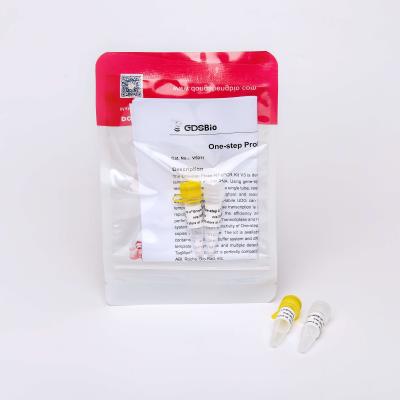 Cina Miscela matrice di RT QPCR di punto di V3 V5011 200 Rxn 20uL/Rxn uno in vendita