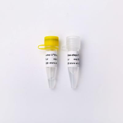 Cina Miscela matrice di RT QPCR di punto di V3 V5011 200 Rxn 20uL/Rxn uno in vendita
