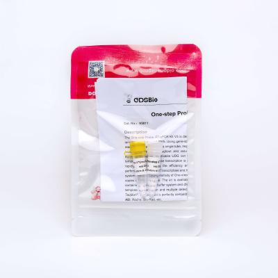 中国 V3 V5011 200 Rxn 20uL/Rxn 1のステップRT QPCRマスターの組合せ 販売のため