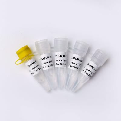 Cina GDSBio una miscela matrice V5009 V5010 di RT QPCR di punto in vendita