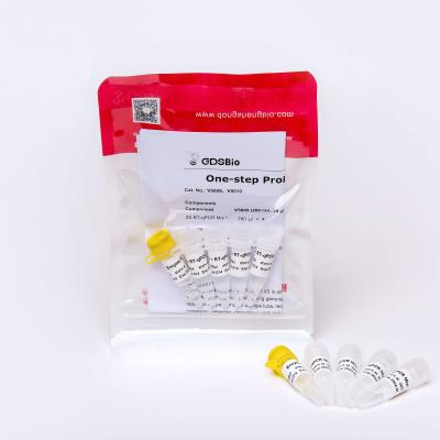Cina GDSBio una miscela matrice V5009 V5010 di RT QPCR di punto in vendita