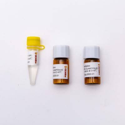 中国 DSPath 4X 1のステップRT QPCRマスターの組合せ 販売のため