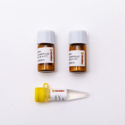 Cina Miscela matrice di RT QPCR di punto di DSPath 4X uno in vendita
