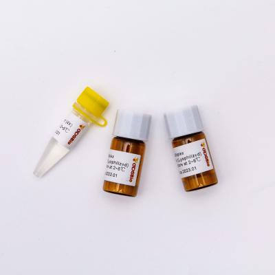 Cina Miscela matrice di RT QPCR di punto di DSPath 4X uno in vendita