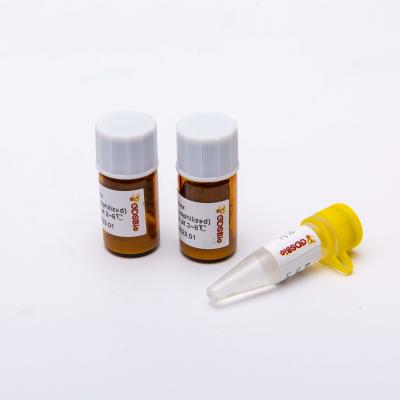 Cina Miscela matrice di RT QPCR di punto di DSPath 4X uno in vendita