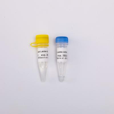 Cina Miscela matrice instabile al calore per enzima altamente efficace in tempo reale di contaminazione di PCR UDG l'anti in vendita