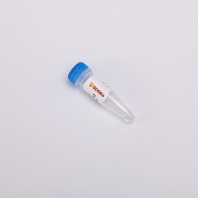 Cina Miscela matrice instabile al calore per enzima altamente efficace in tempo reale di contaminazione di PCR UDG l'anti in vendita