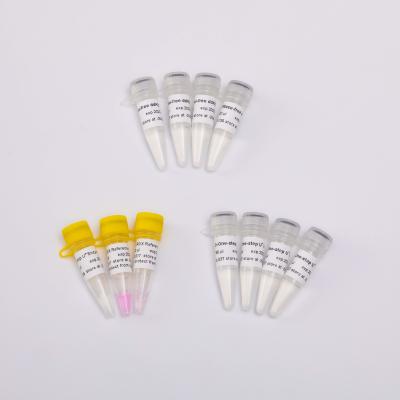 中国 GDSBio 1つのステップQPCRマスターの組合せ 販売のため