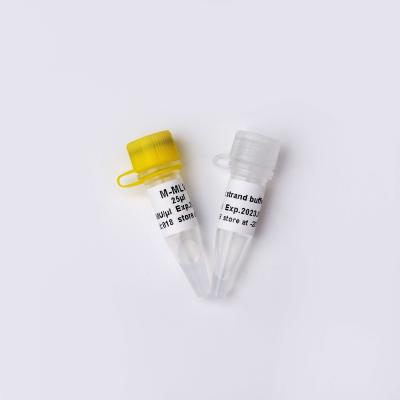 中国 PCR R1041の無色の出現M-MLVの逆Transcriptase 販売のため