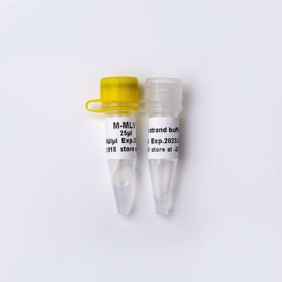China M-MLV Omgekeerde Transcriptase-PCR Reagentia R1042 Te koop