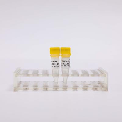 Cina aspetto incolore di PCR R3002 della trascrittasi inversa dell'oro 10000U in vendita