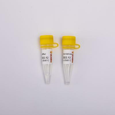 Cina aspetto incolore di PCR R3002 della trascrittasi inversa dell'oro 10000U in vendita