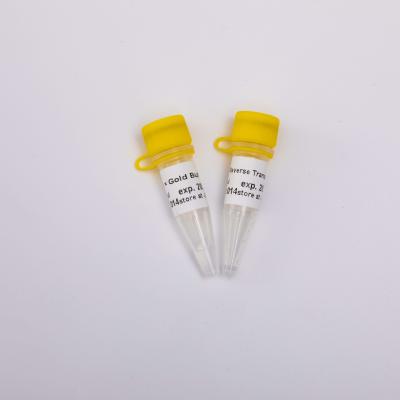 Cina aspetto incolore di PCR R3002 della trascrittasi inversa dell'oro 10000U in vendita