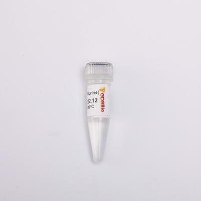 Cina Prodotto chimico dell'inibitore della RNAsi dei reagenti 20000U di PCR della trascrittasi inversa di GDSBio in vendita