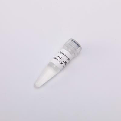 Cina Prodotto chimico dell'inibitore della RNAsi dei reagenti 20000U di PCR della trascrittasi inversa di GDSBio in vendita