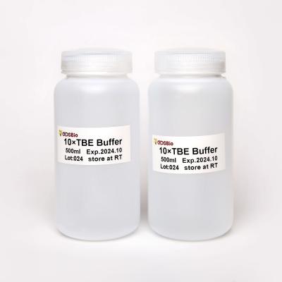 Cina colore trasparente dell'amplificatore 10X TBE di elettroforesi del DNA 0.5L in vendita