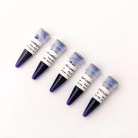 China 6× DNA Electrophoresis Buffer for sale