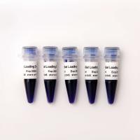 China Two Color 6× Gel Loading Dye for sale