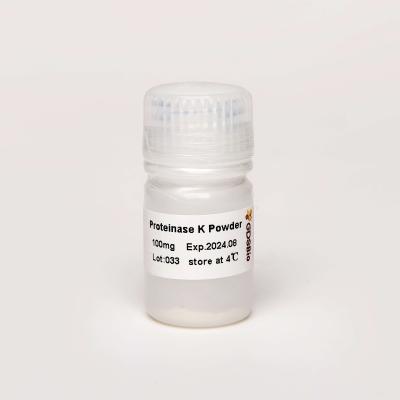 Cina La proteinasi K del grado di biologia molecolare spolverizza N9016 100mg in vendita