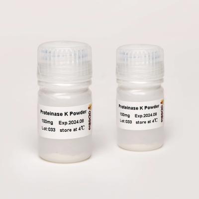 Cina La proteinasi K del grado di biologia molecolare spolverizza N9016 100mg in vendita