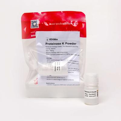 Cina La proteinasi K del grado di biologia molecolare spolverizza N9016 100mg in vendita